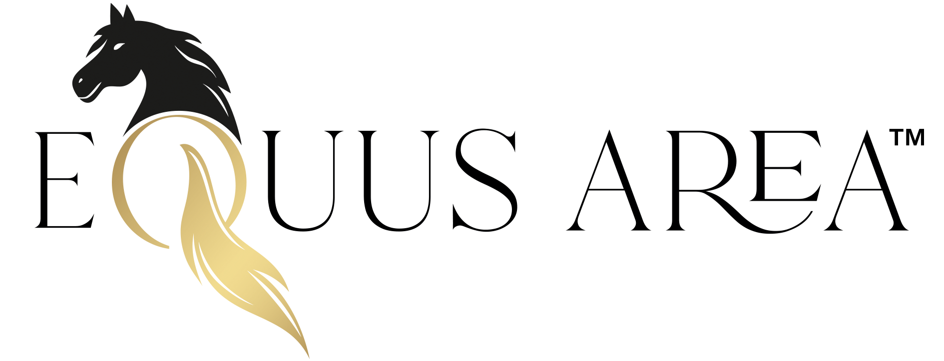 Sustainability and Responsability Policy - EQUUS AREA